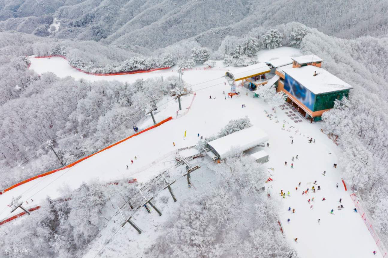 Daemyung Vivaldi Park Ski World Day Trip from Seoul (S.A. Tour) - Klook ...